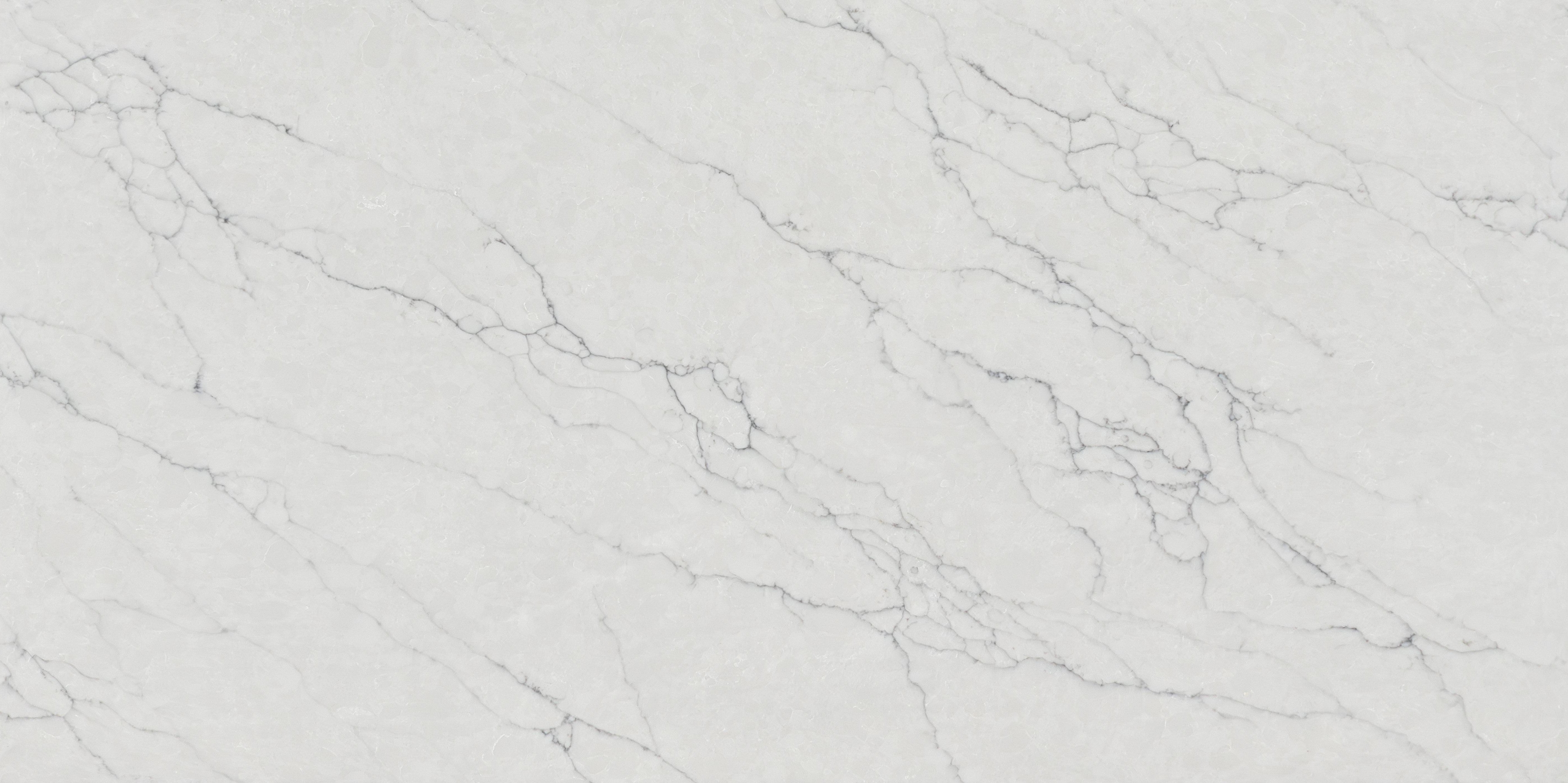 Vena Grigio (Now $315/m²) – Pure Marble Store